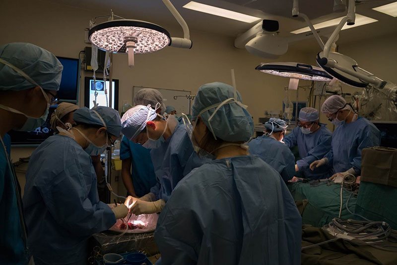 Queen Mary Hospital 瑪麗醫院